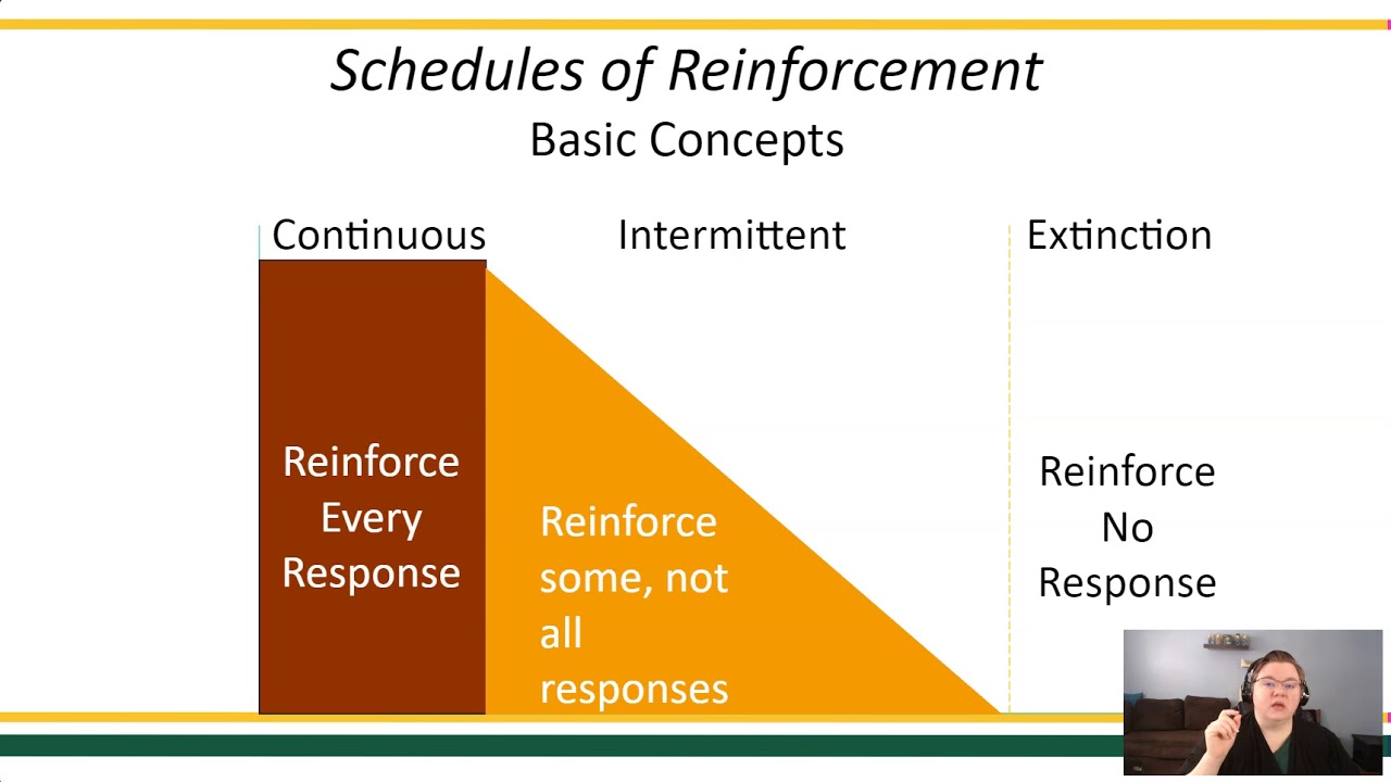 Contingency Schedules - YouTube