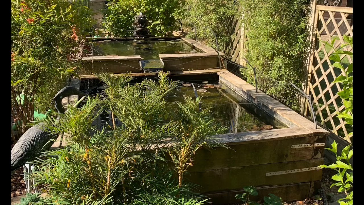 Sleeper pond build - YouTube