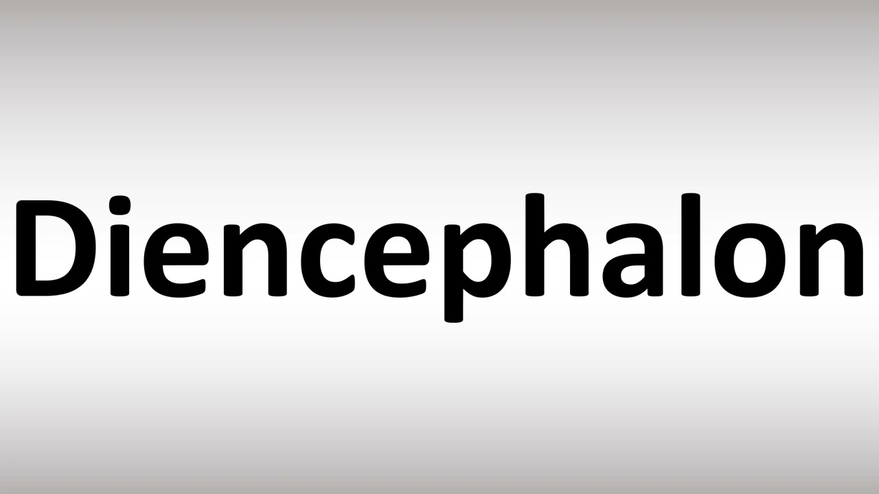 How to Pronounce Diencephalon - YouTube