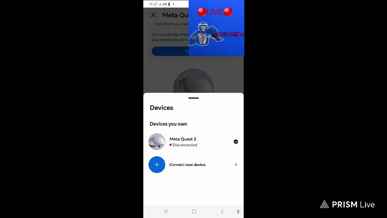 🔴PLAYING GORILLA TAG ON LIVE DOING FAN CODES AND MINIGAMES🔴 - YouTube