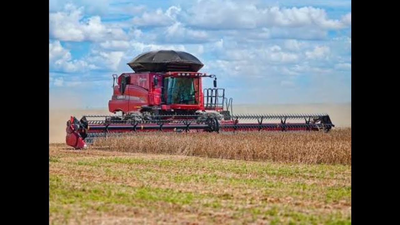 CASE IH 9230 AXIAL FLOW COLHENDO A 11km/p 40 pés - YouTube