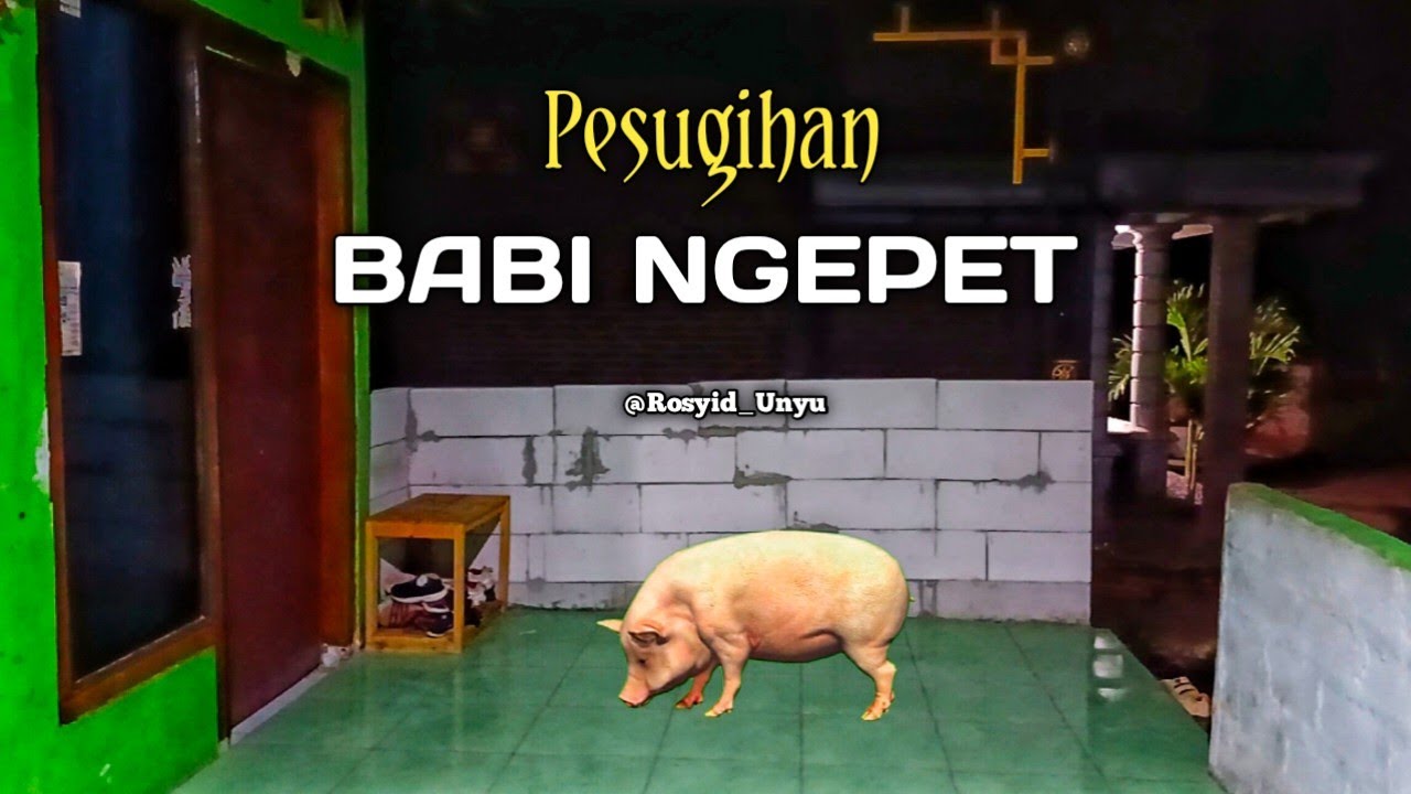 Pesugihan Babi Ngepet - YouTube