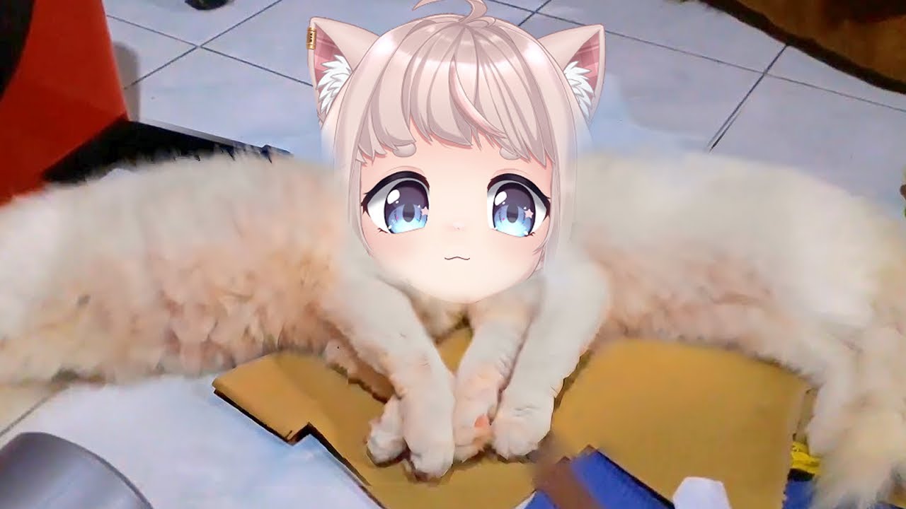 this got me | VTuber Fuwa reacts to UNUSUAL MEMES COMPILATION V223 ...