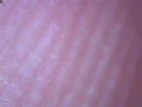 My Hand under a microscope!!!!!!! - YouTube
