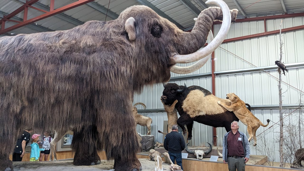 Alaska & Yukon pt 5 - Gold Dredge 8, Gold Bottom Mine in Dawson City ...