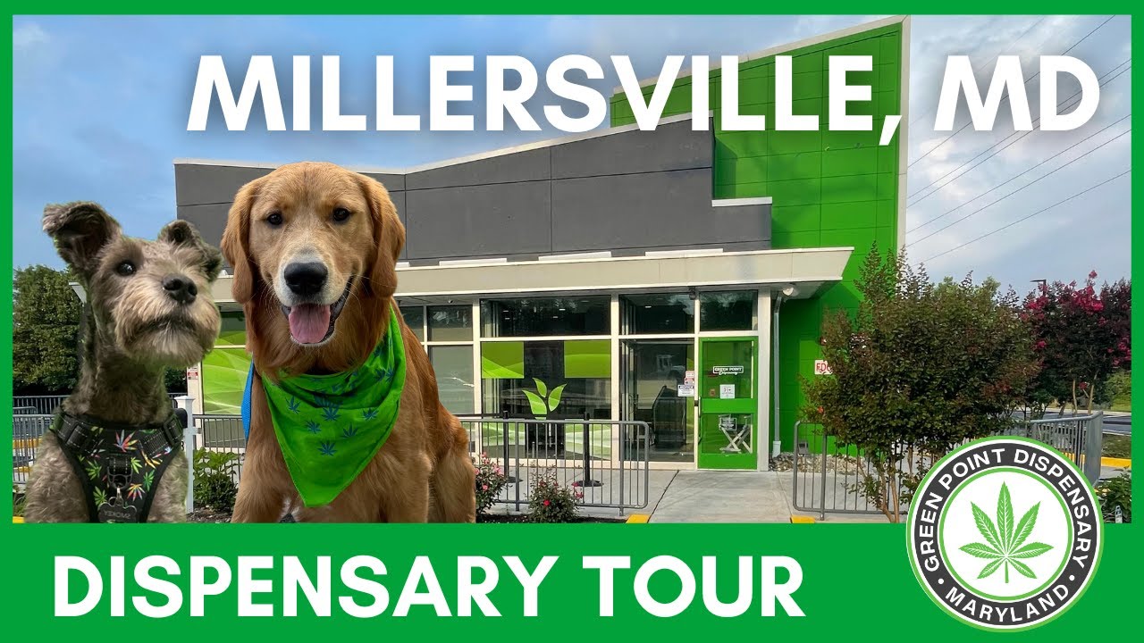 Cannabis Dispensary Tour in Millersville | Green Point Wellness - YouTube