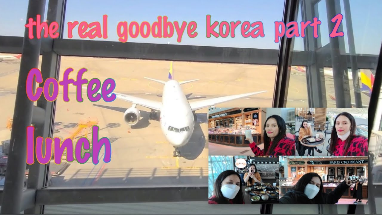 part 2 d-day flight to USA of edward jr, little edward and ethan ...