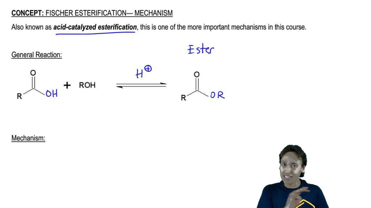 Fischer Esterification: General Reaction - YouTube