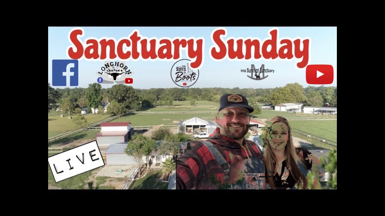 Sanctuary Sunday - YouTube