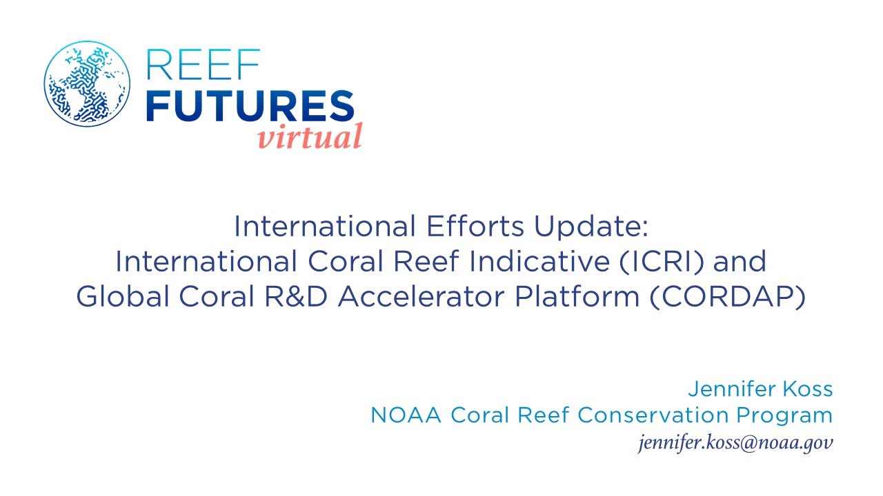 International Efforts Updates (Jennifer Koss) - YouTube