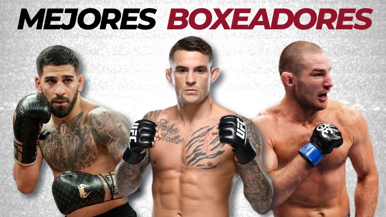 MEJOR BOXEADOR DE CADA DIVISION DE PESO EN LA UFC!!! - YouTube