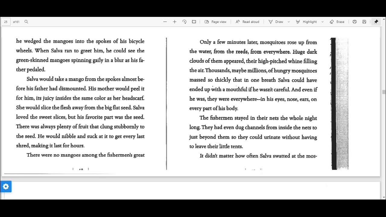 A Long Walk to Water Ch. 8 (Read Aloud w/ Text) - YouTube