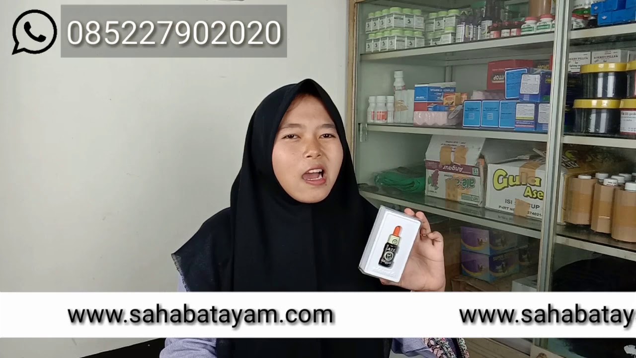 FANTASTISS !! WA +6281-225-969-741 Lampam ATP, Doping Tetes Ayam ...