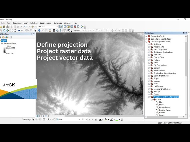 Vector Feature Projection Quantifying The Global Film Festival