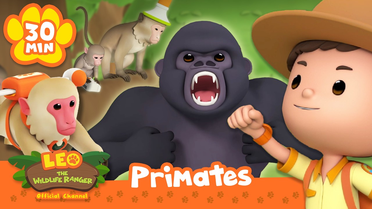 EXPLORE WITH MONKEYS AND GORILLAS IN THE JUNGLE! | Leo the Wildlife ...