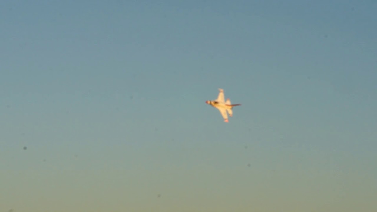 Elad fish - YouTube
