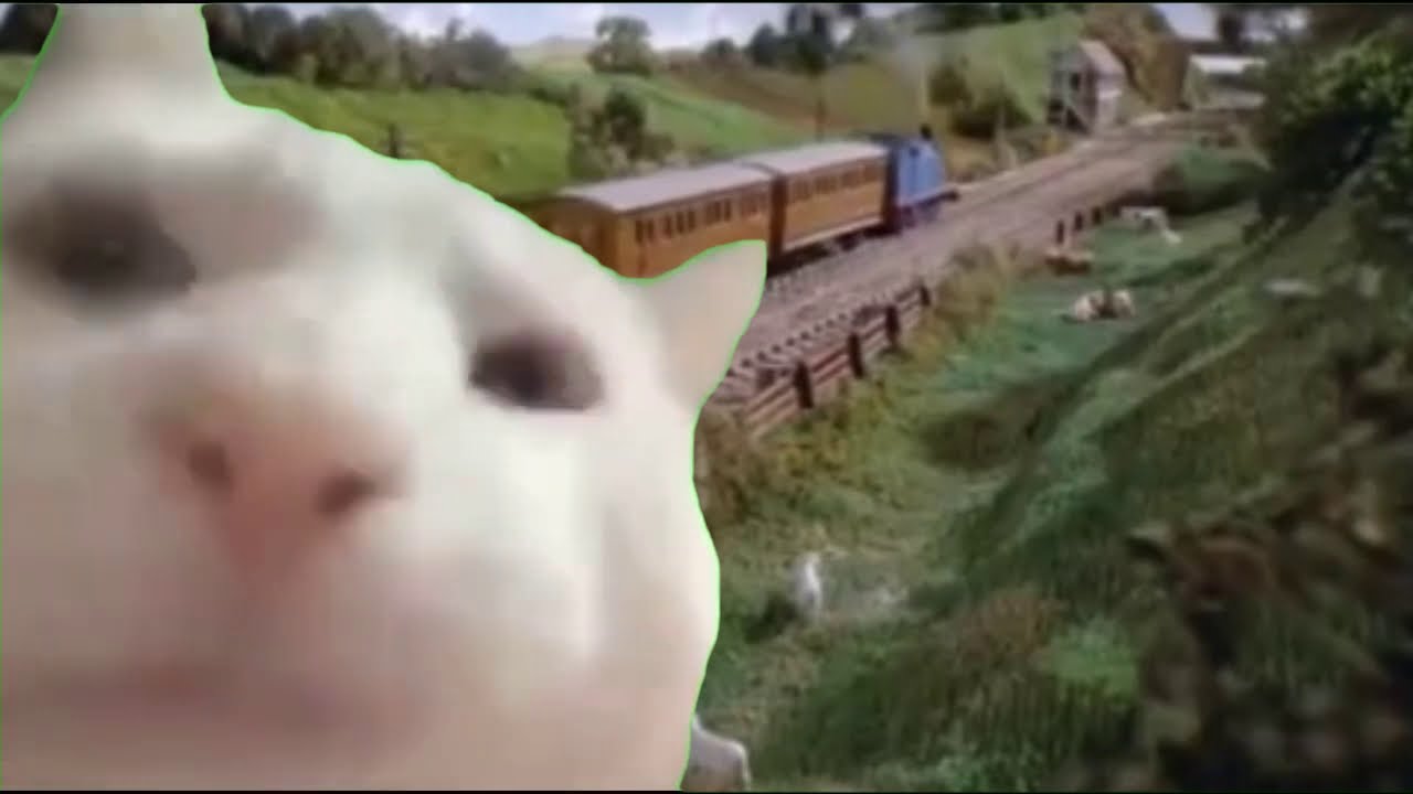 Cat Vibing To Thomas The Train - YouTube