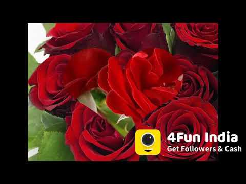 New Good morning WhatsApp Status - 4Fun