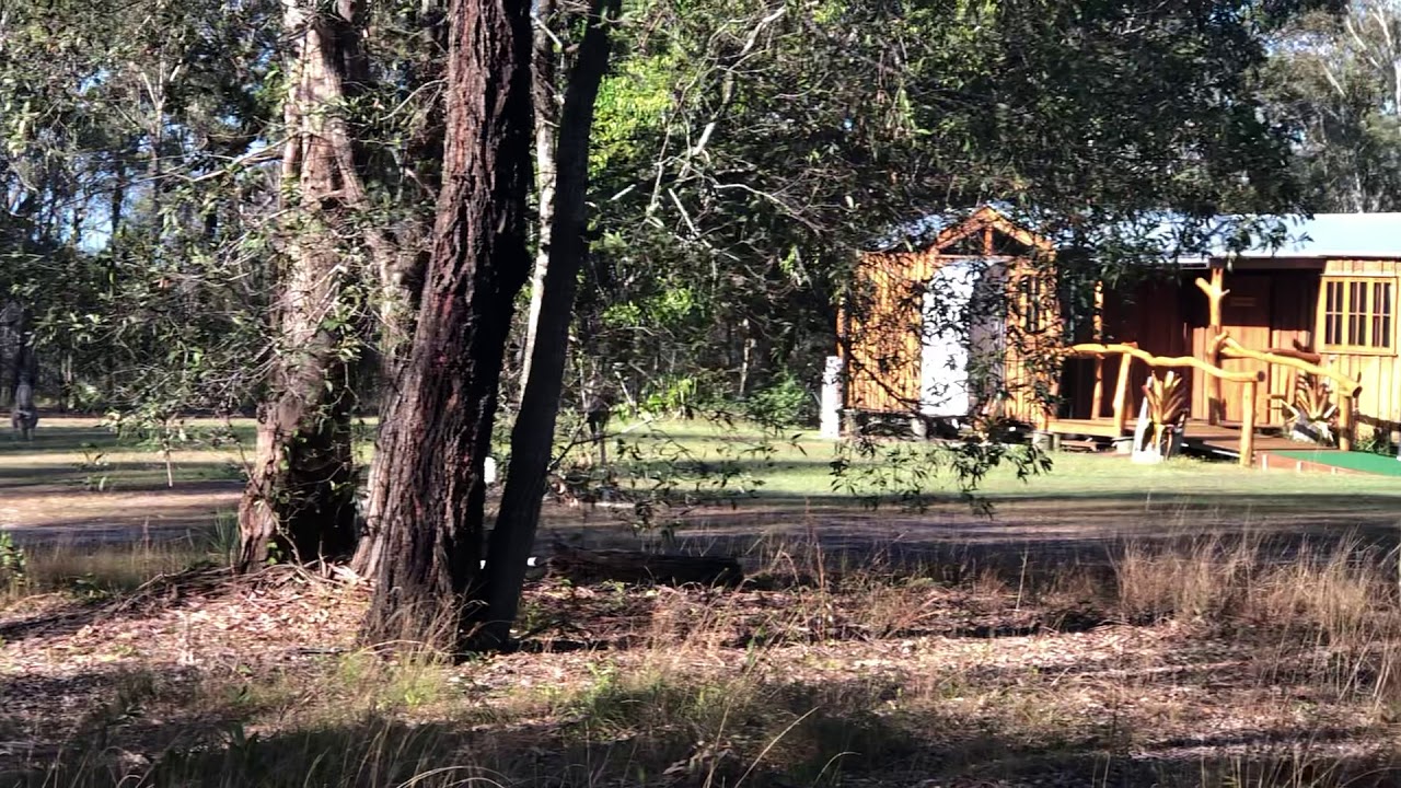 Australian timber holiday cabin with kangaroos in front yard - YouTube