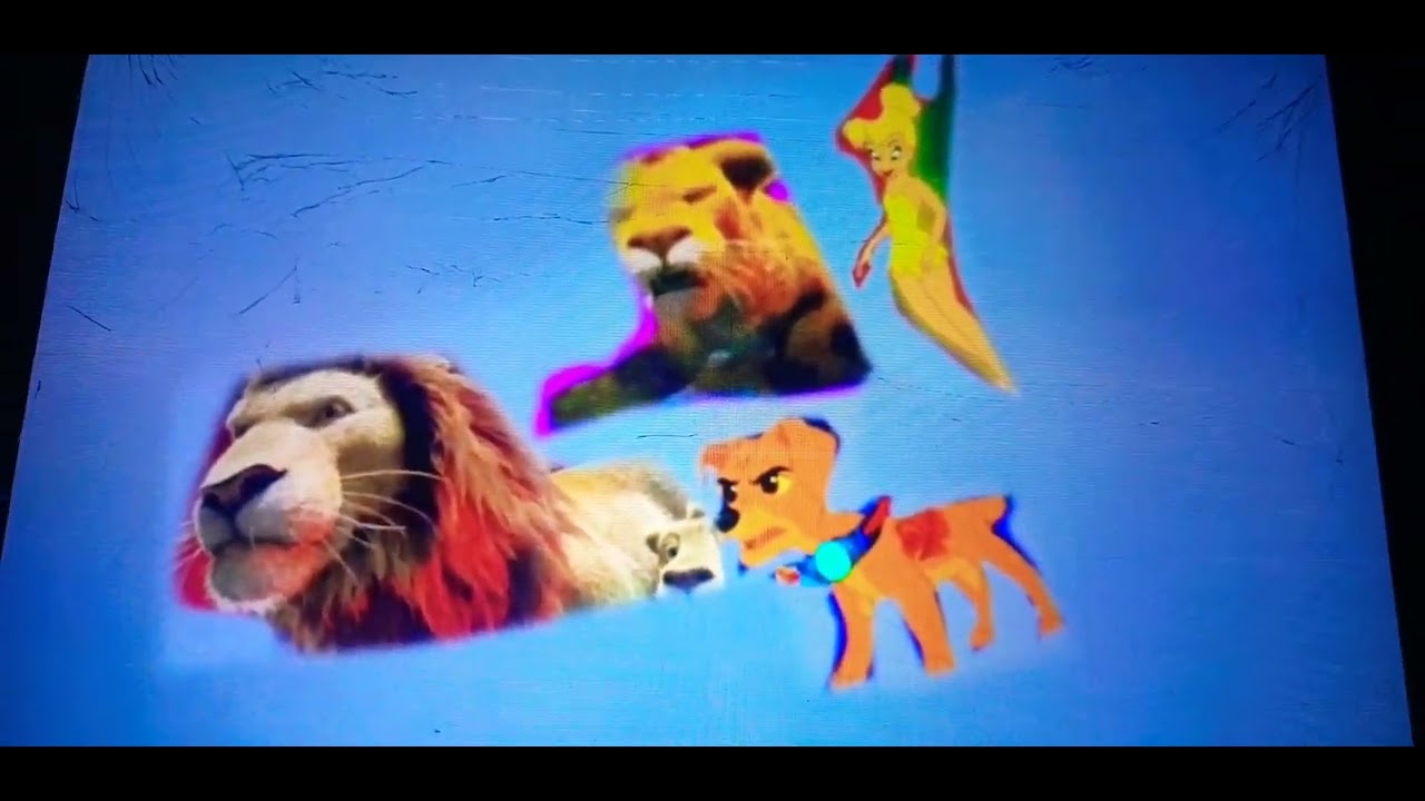 the lady and the tramp 3 scamp lion vs kazar wildebeest's snow mountain ...