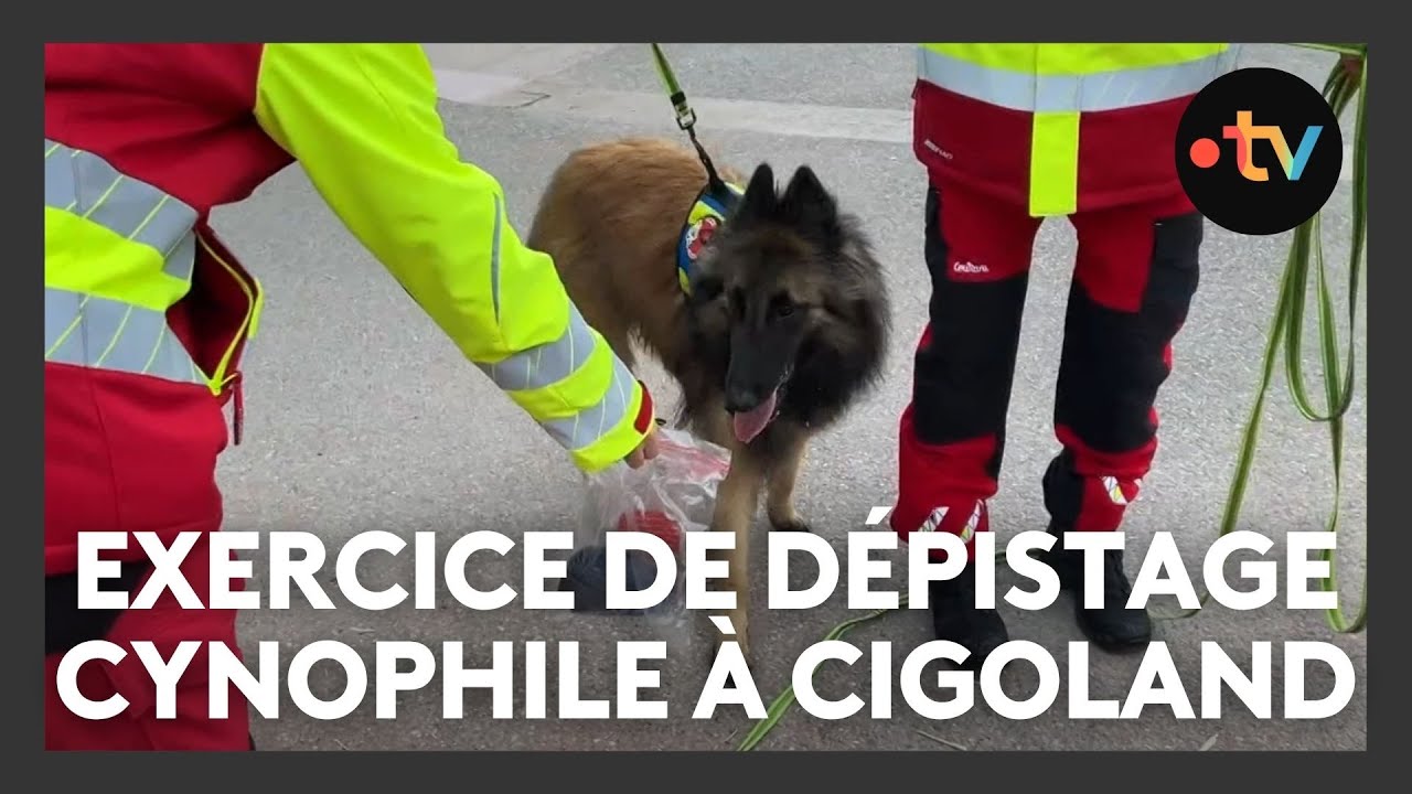 Sécurité civile : exercice de dépistage cynophile à Cigoland - YouTube