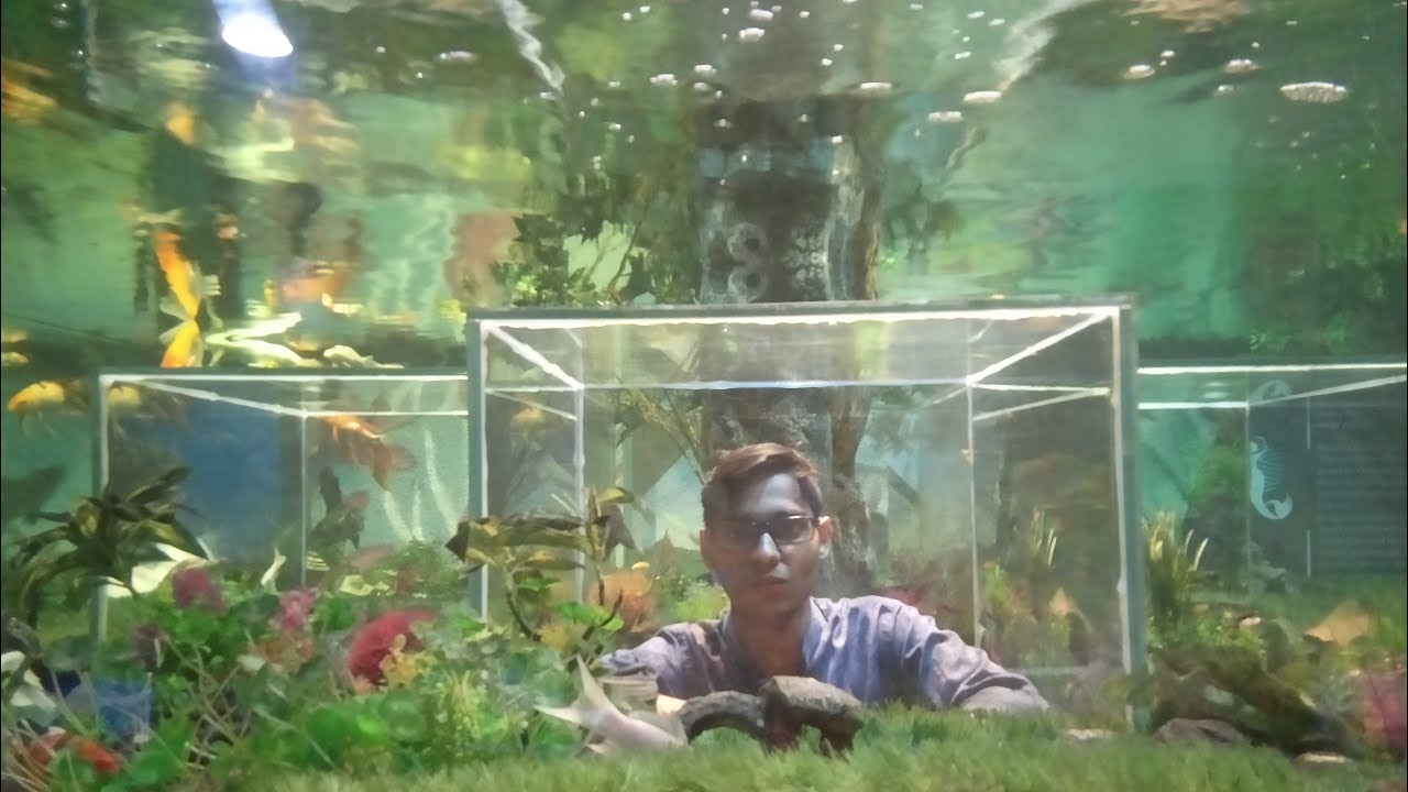 UNDER THE SUN AQUARIUM UDAIPUR / INDIA’S LARGEST AQUARIUM #aquarium # ...
