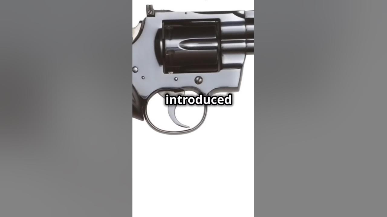 Top 5 facts Colt Python - YouTube