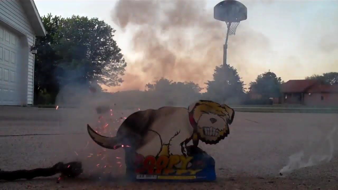 Poopy Puppy Novelty Firework - YouTube