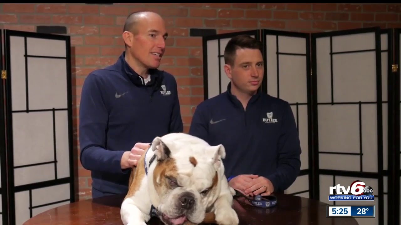 Changing of the collar for Butler Bulldog mascots - YouTube