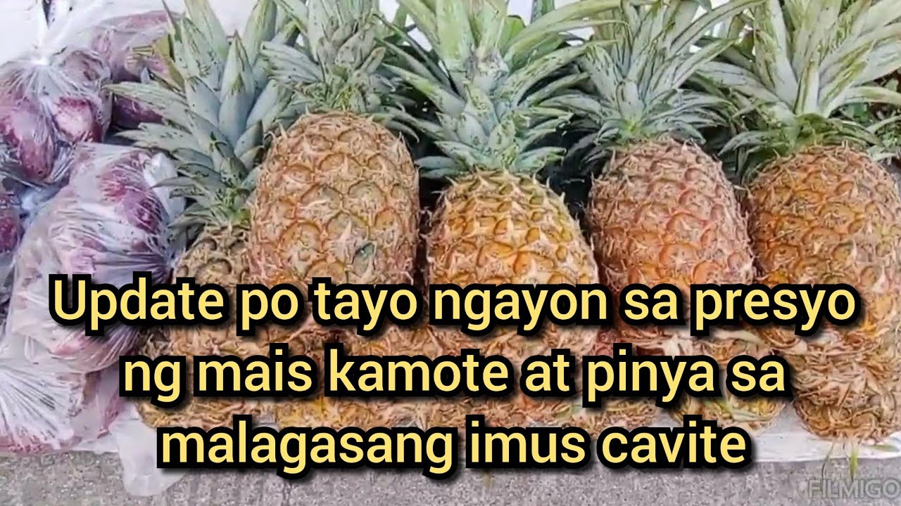Update po tayo ngayon sa presyo ng mais kamote at pinya sa malagasang ...