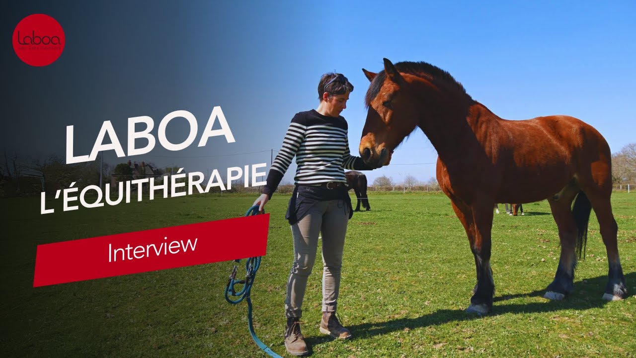L'EQUITHERAPIE☝️ - YouTube