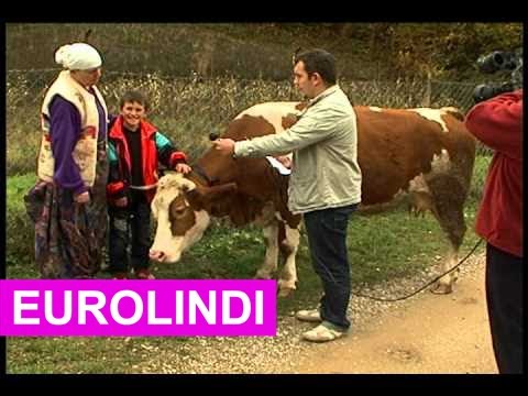Humor-Zyra ,,Nusja jone zoje e ronde,,Eurolindi&Etc - YouTube