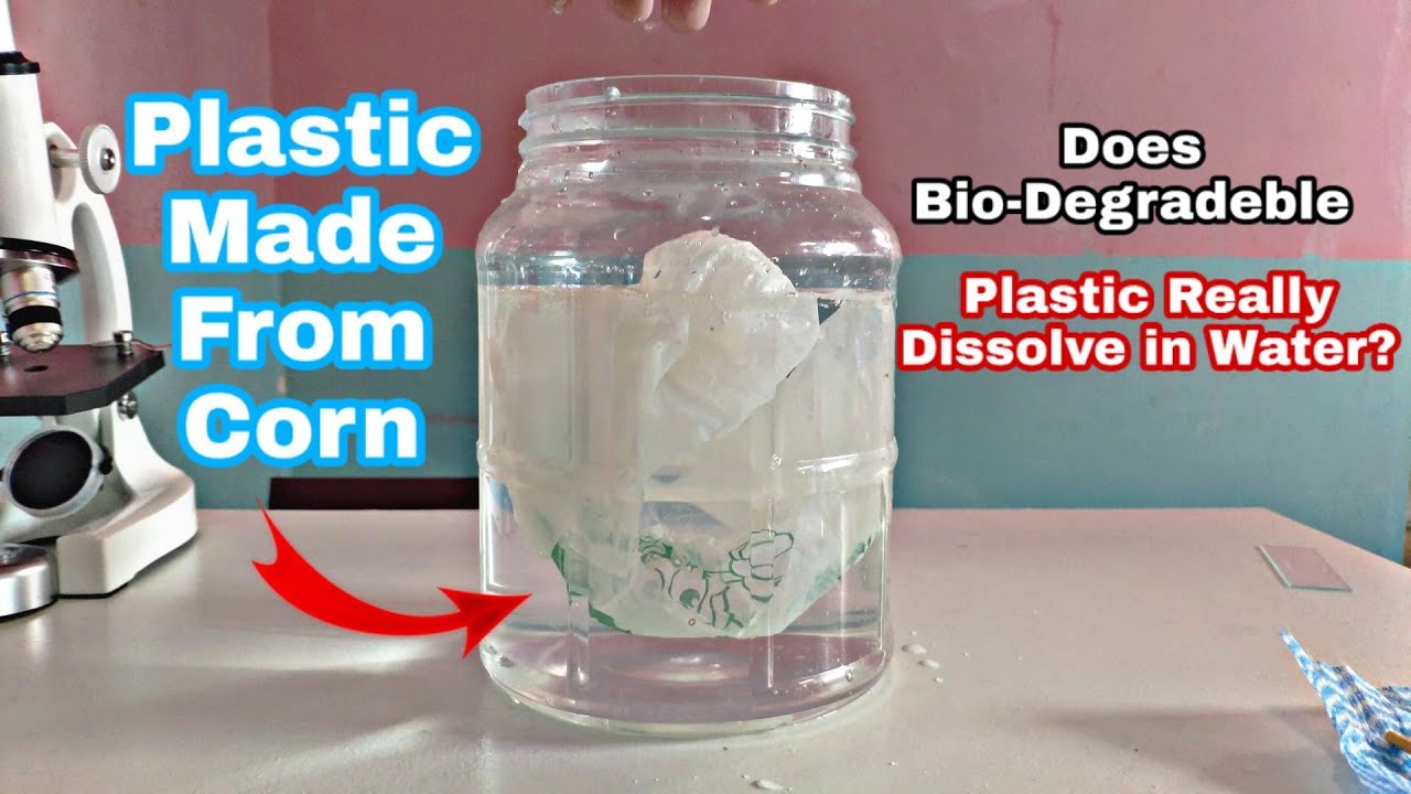 Experiment: Plastic Made From Corn 🌽 Really Dissolve In Water? Or Just ...