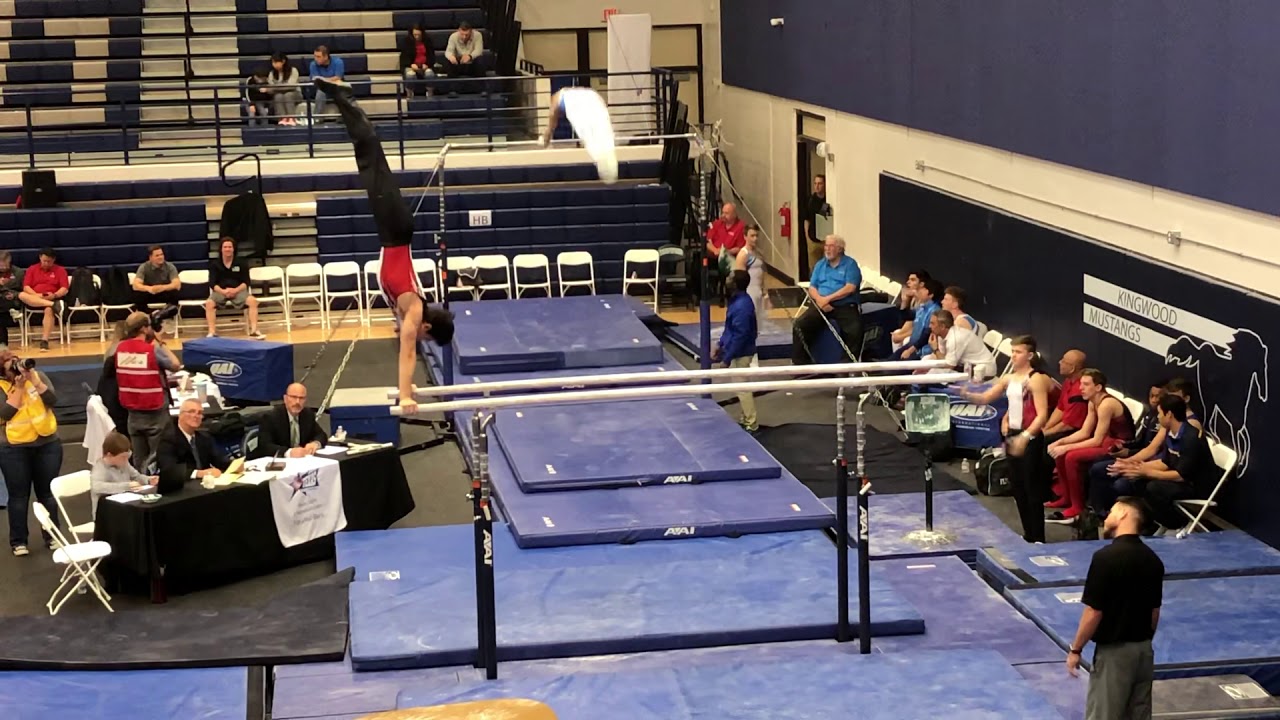 Nicolas Fardet 2019 Texas State Championships JO Level 10 (15 yr) PB ...
