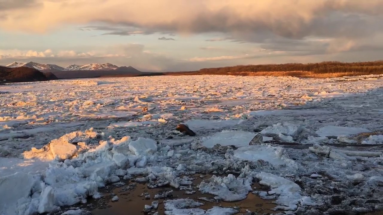 Breakup Timelapse of the Kuskokwim River at Aniak (2017) - YouTube