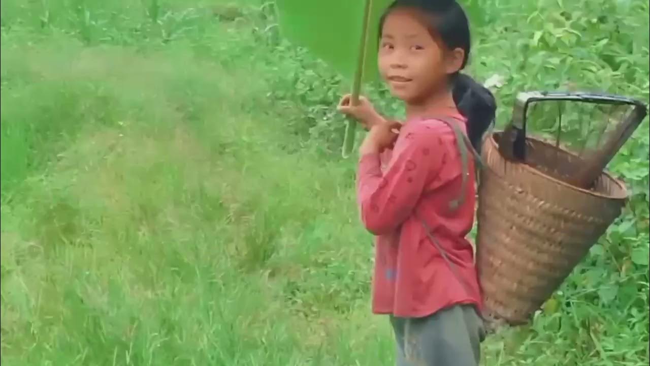 mus saib nplej liaj zoo2 lawm lau - YouTube