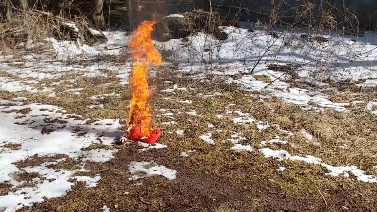 Death of an Elmo - YouTube