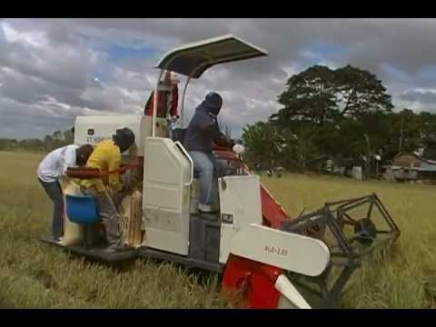 FT Rice Combine Harvester in Action - YouTube