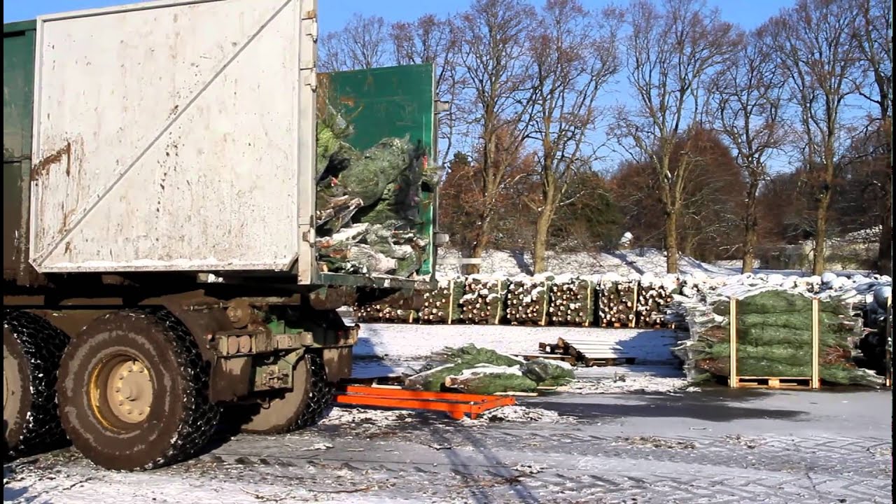 Transporting Christmas trees in a container at Collet - YouTube