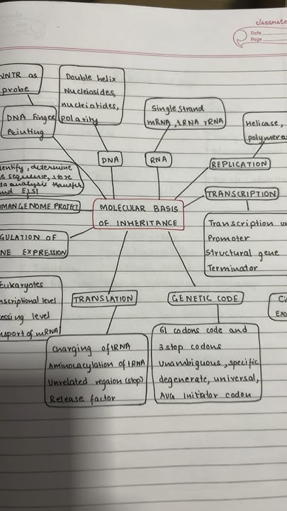 Molecular basis of inheritance MIND MAP… #neet #study #dreamneet # ...