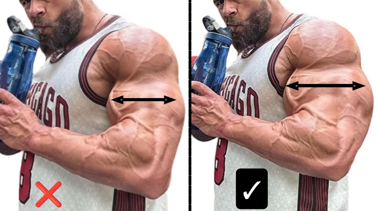 Biceps and Triceps Transformation Workout to Grow Bigger - YouTube