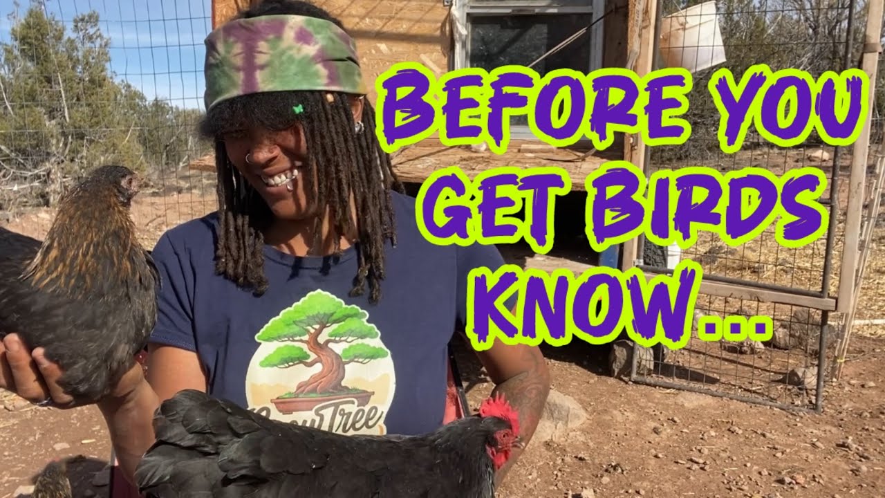 Let’s Talk CHICKENS!! - YouTube