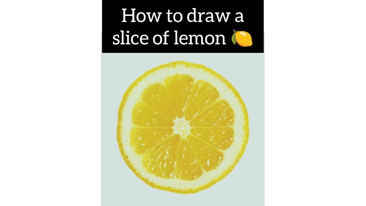 How to draw a slice of lemon| lemon slice drawing|| step by step ...