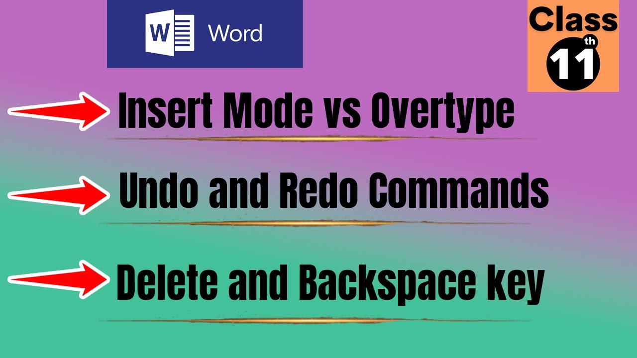 chapter 8 || word processing || insert mode vs overtype mode || Undo ...