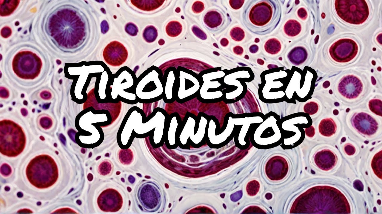Histologia de la Tiroides en 5 minutos, fácil y rápido! - YouTube