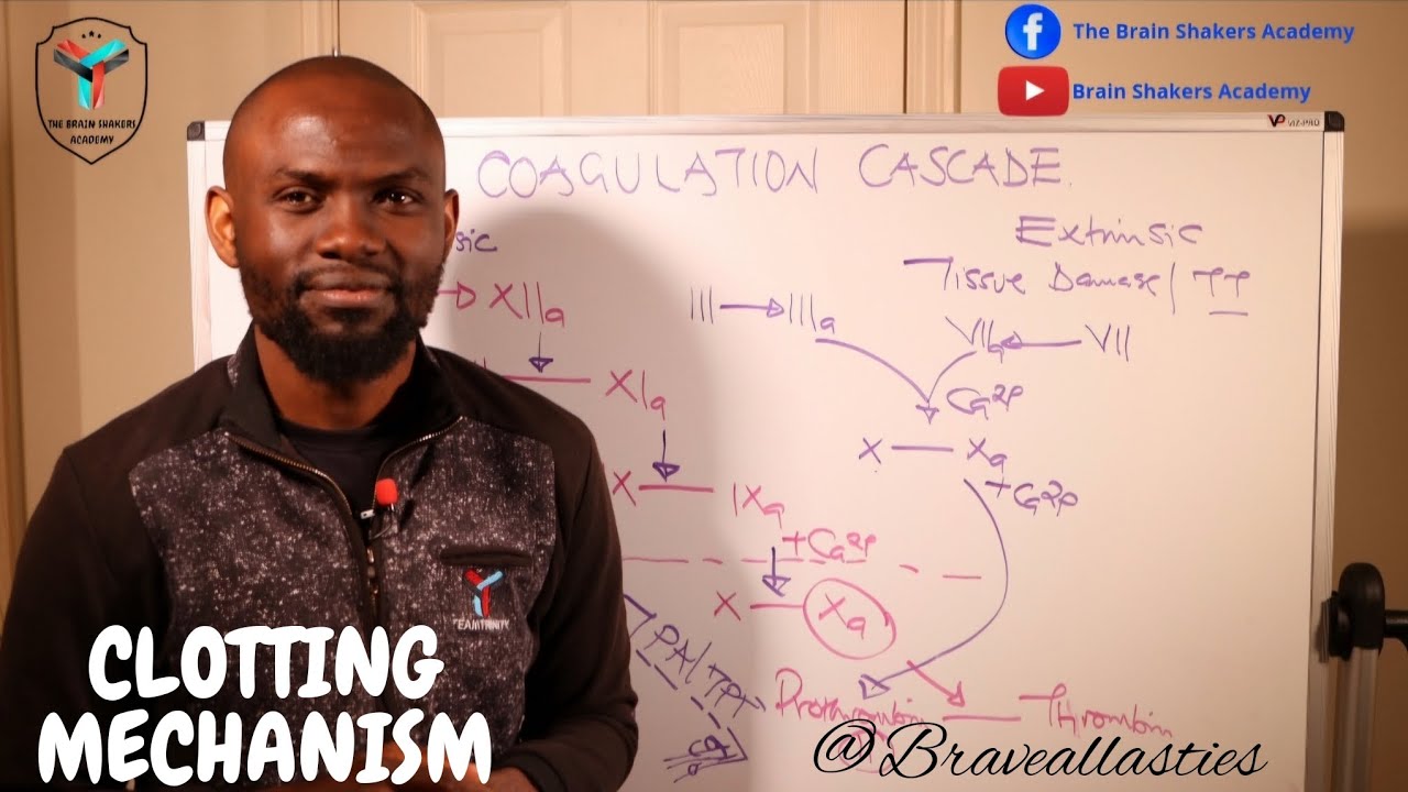 How a CLOT is Formed - Clotting Mechanism [Coagulation Cascade] - YouTube