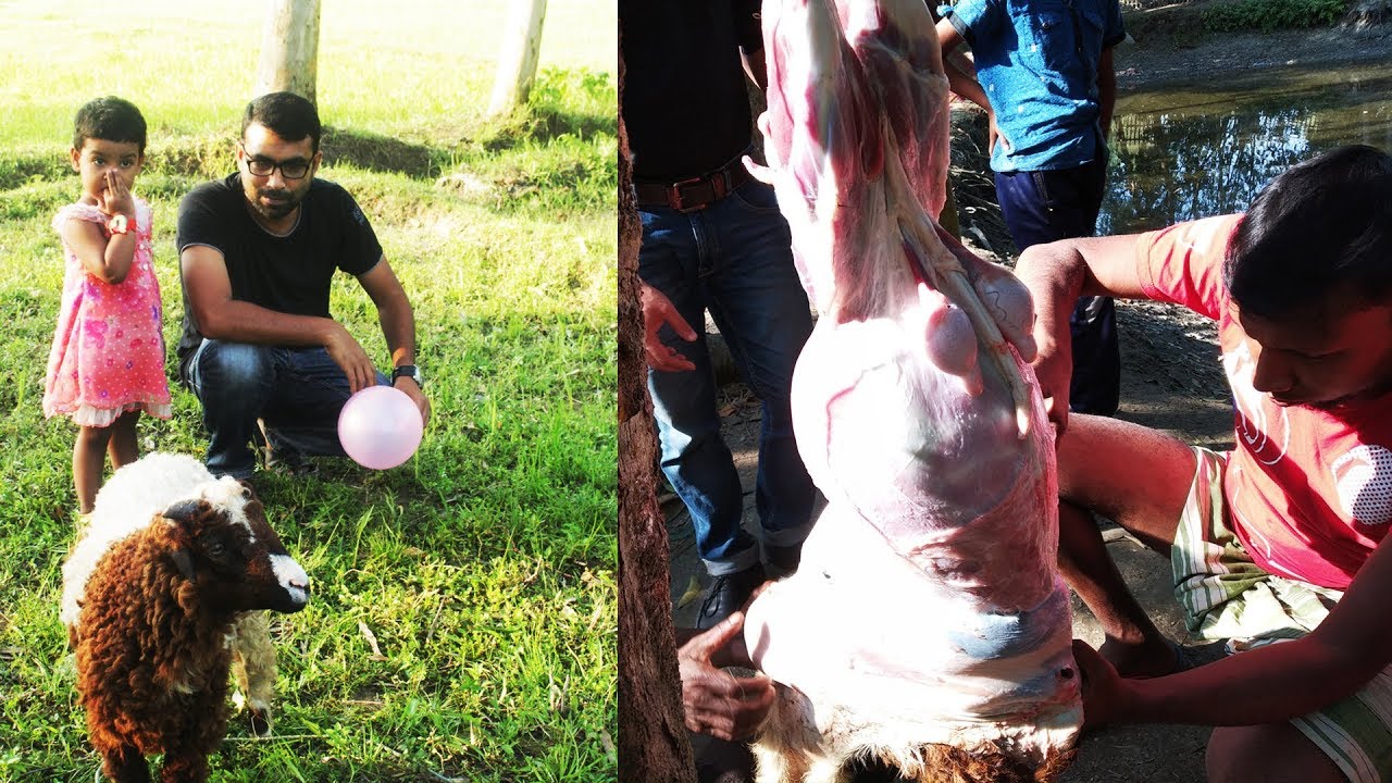 Whole sheep cooking for village kids| Delicious lamb curry prepared for ...