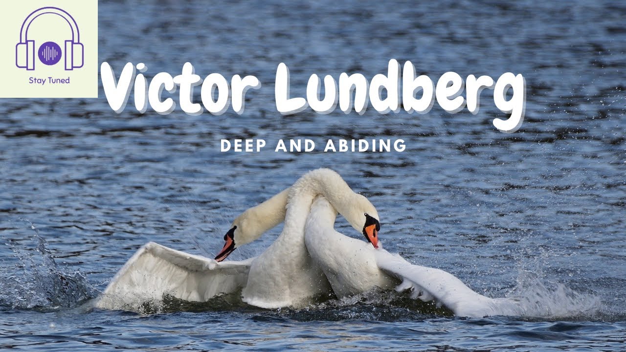 🔘Victor Lundberg - Deep and Abiding🔘YouTune - Stay Tuned - YouTube