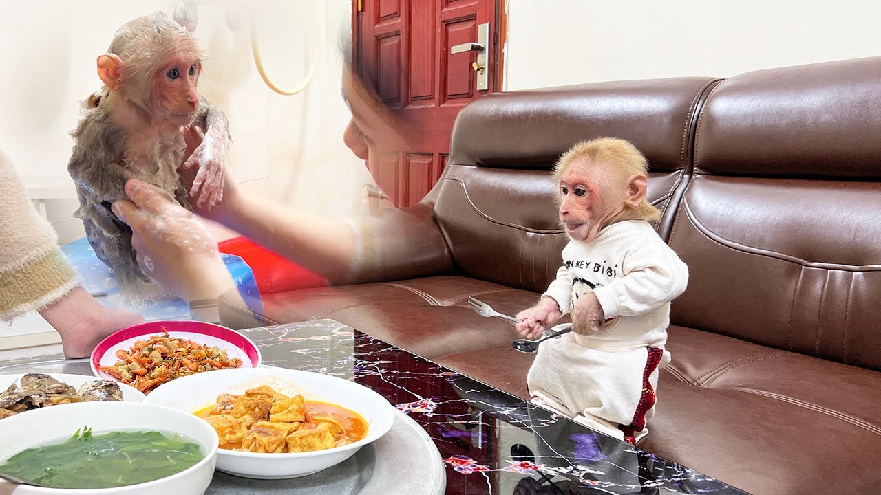 Everyday BiBi gets special care from his mother! - YouTube