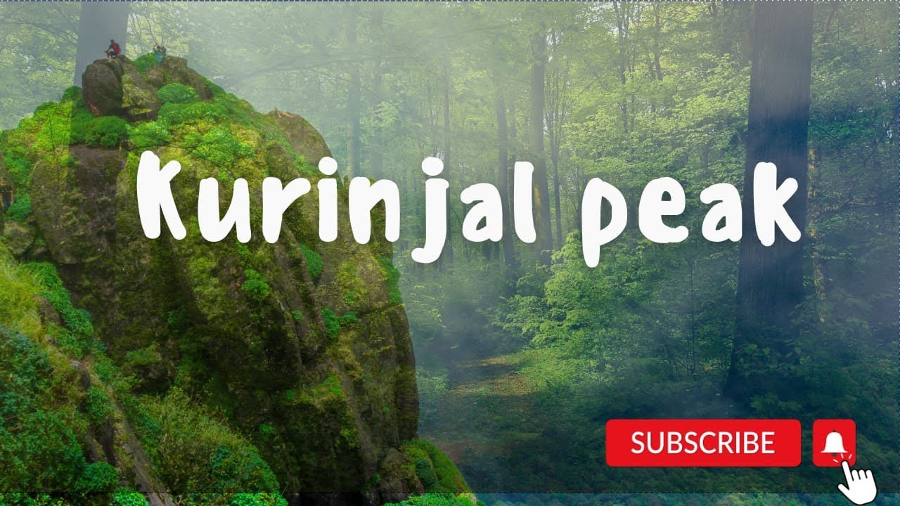 Kurinjal peak trek | kudremukh trek | samse | Kalasa | best place to ...